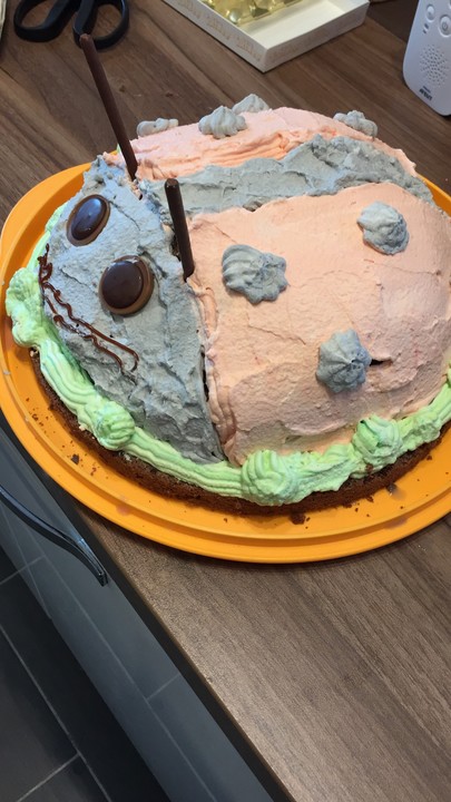 Kinder-Geburtstagstorte von MarieBarone | Chefkoch