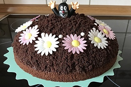 Maulwurftorte Mit Erdbeeren