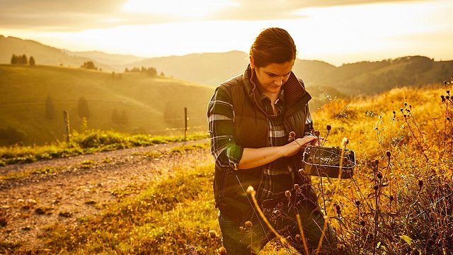 Rezepte von Viki Fuchs – Chefkoch PLUS Kochstar