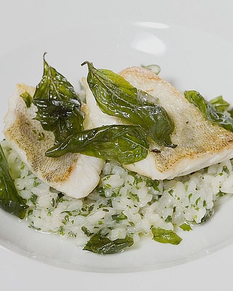 Zander Rezepte | Chefkoch