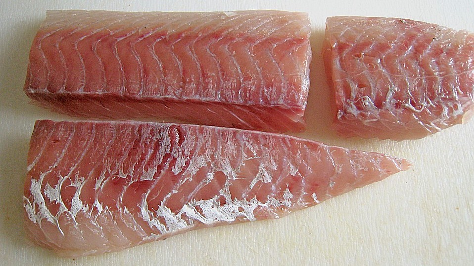 Köhler - Rückenfilet mit dicken Bohnen im Zuckererbsenschaum von schrat