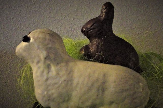 Osterlamm / Osterhase von Pteppic