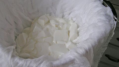Quark (Topfen) selbstgemacht von radkon
