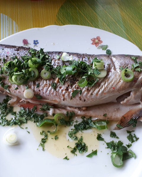 Saibling Rezepte | Chefkoch