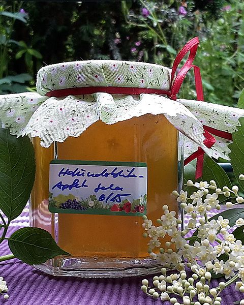 Apfelgelee Rezepte - die besten Rezepte 2026 | Chefkoch