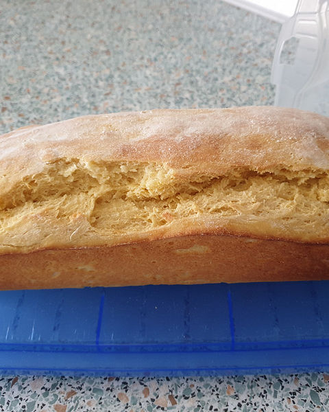 Maisbrot Rezepte | Chefkoch