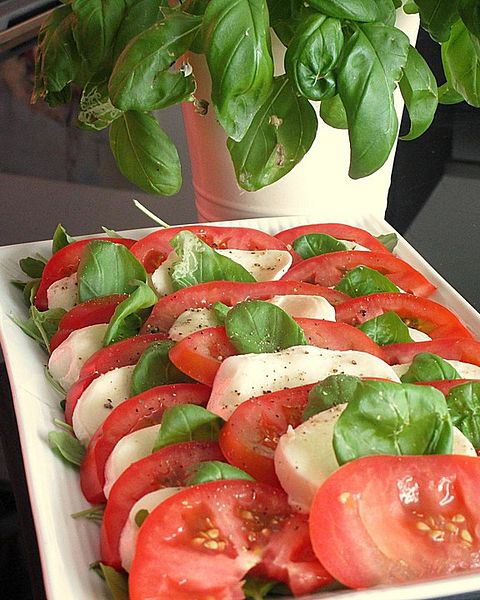 Caprese Rezepte | Chefkoch