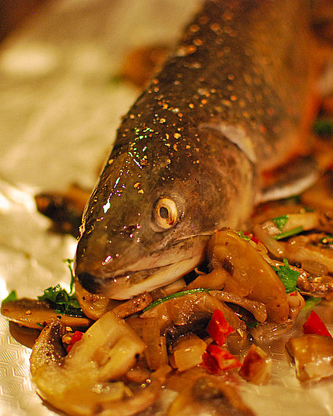 Saibling Rezepte | Chefkoch