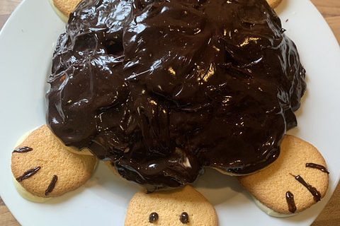 Schildkrötenkuchen - Tscherepacha von MiHue