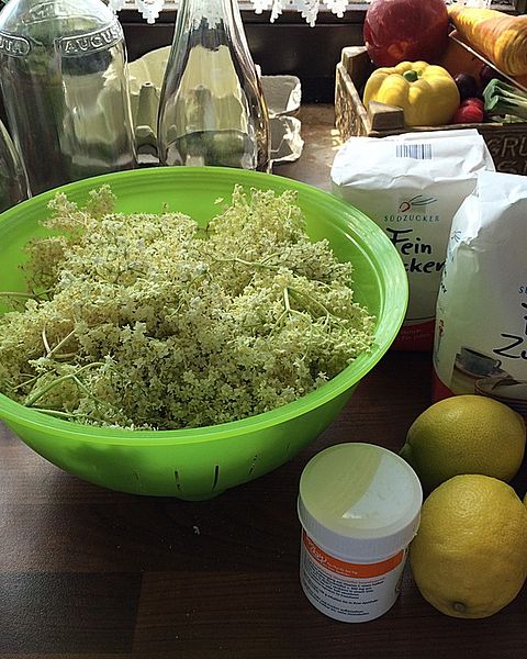 Holundersirup Rezepte - die besten Rezepte 2025 | Chefkoch