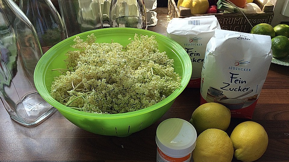 Holundersirup von hallesaale1972| Chefkoch