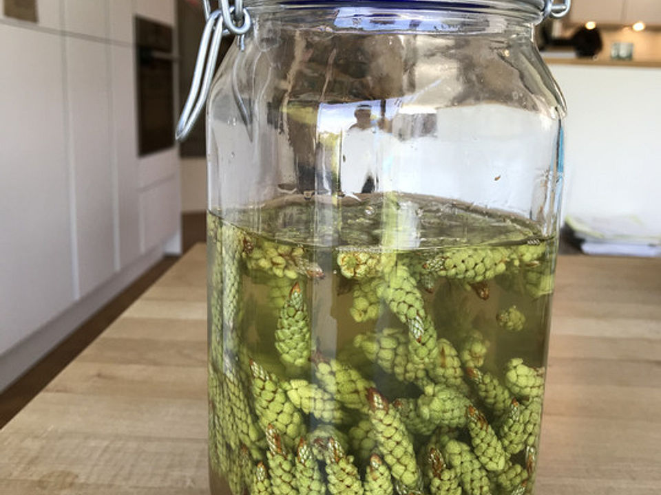 Kiefernnadel-Bitter von kochschlumpfine| Chefkoch