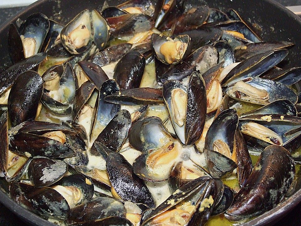 Muschel Saganaki von daphni| Chefkoch