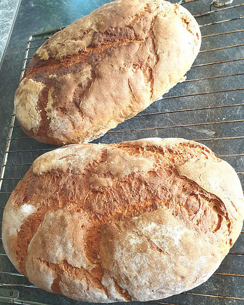 Sauerteigbrot Rezepte - die besten Rezepte 2023 | Chefkoch