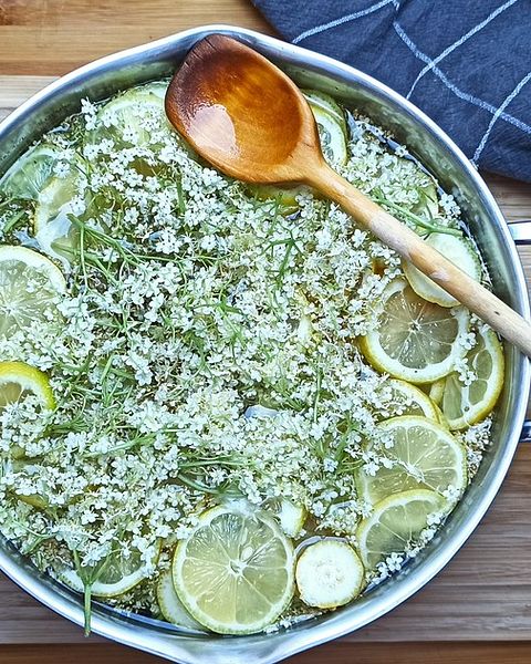 Holundersaft Rezepte | Chefkoch