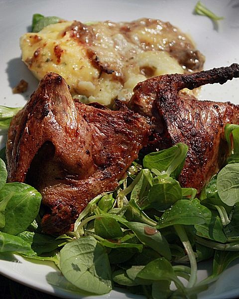 Tauben Rezepte | Chefkoch