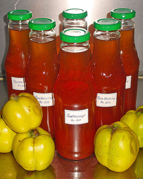 Quitten Rezepte - die besten Rezepte 2026 | Chefkoch