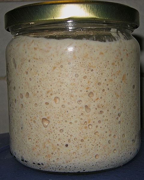 Ulrikes Brot mit Backferment von UlrikeM