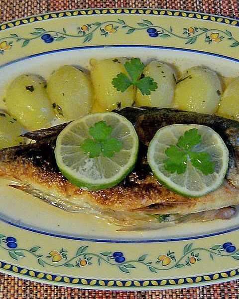 Goldbrasse Rezepte | Chefkoch