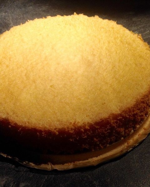 Tortenboden Rezepte - die besten Rezepte 2026 | Chefkoch