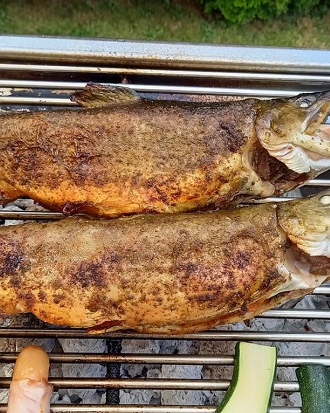 Saibling Rezepte | Chefkoch