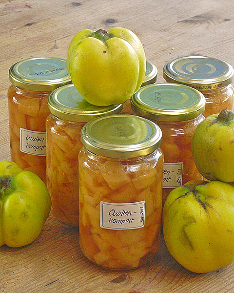 Quitten Rezepte - die besten Rezepte 2026 | Chefkoch
