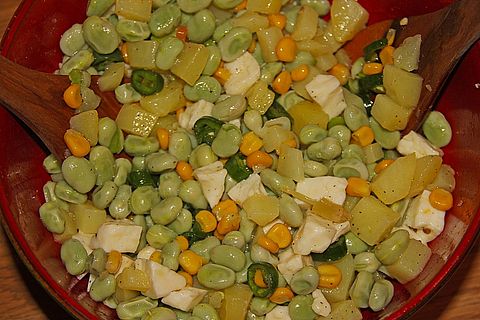 Solterito von Parmigiana| Chefkoch