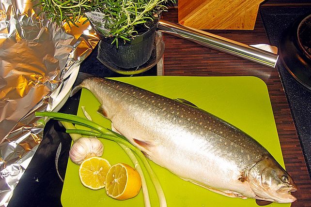 Seesaibling in der Folie von driver59| Chefkoch