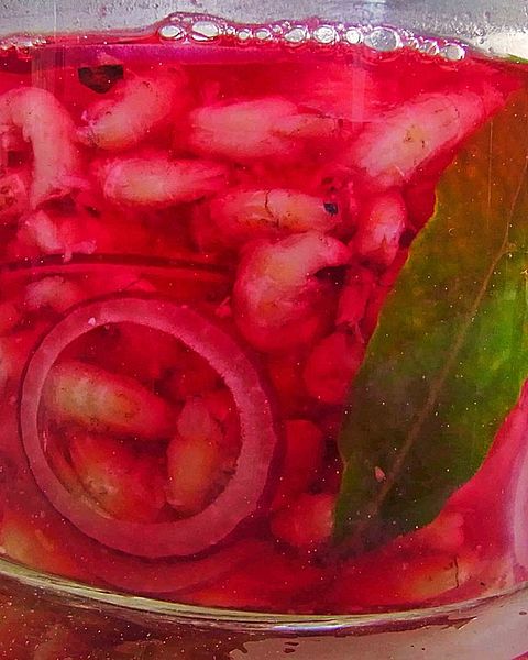 Aspik Rezepte | Chefkoch