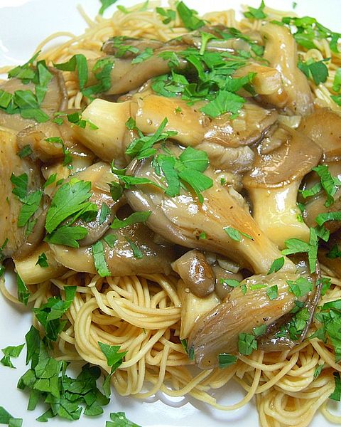 Austernpilze Rezepte - die besten Rezepte 2026 | Chefkoch