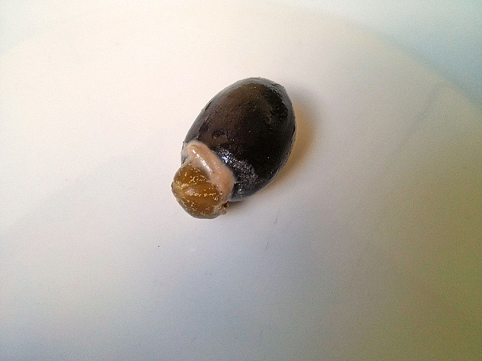 Schwarze Oliven mit Sardellenpaste und Kapern von Joe_Chip| Chefkoch