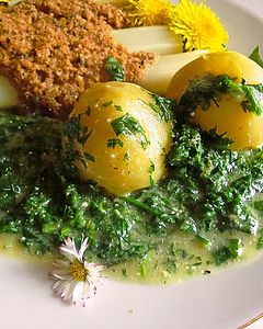 Tagesgerichte Rezepte | Chefkoch