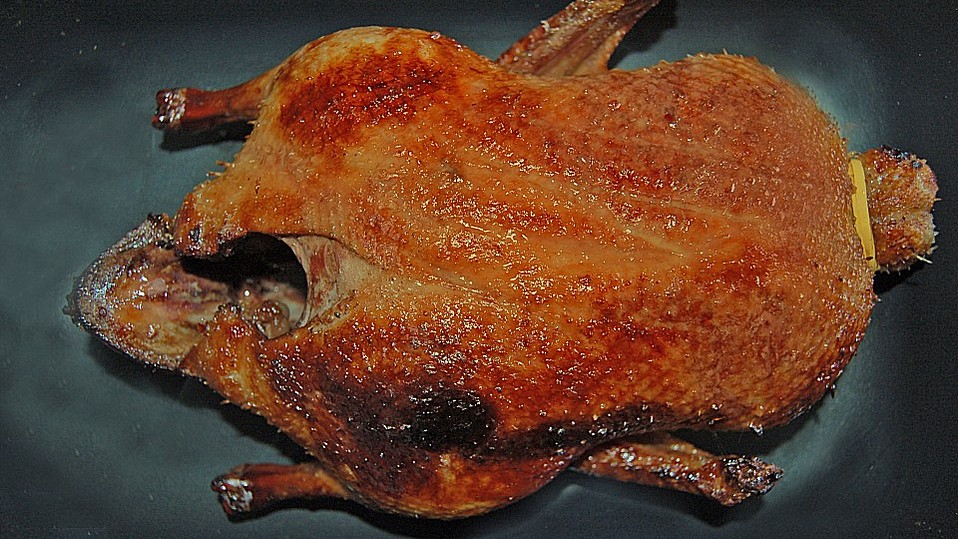 Peking - Ente von M4162