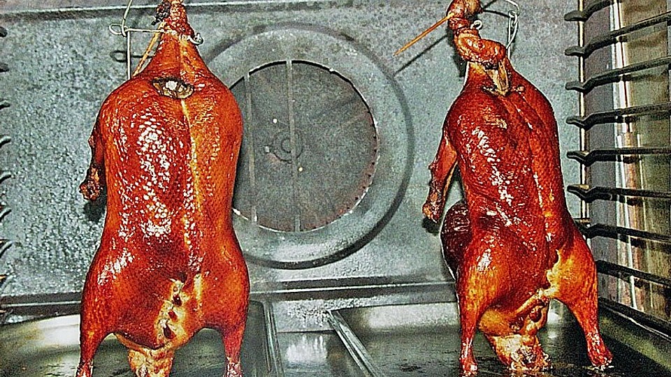Peking - Ente von M4162