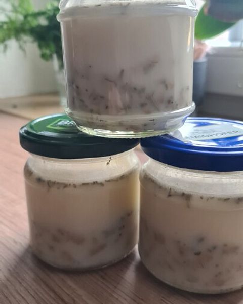 Schweineschmalz Rezepte | Chefkoch