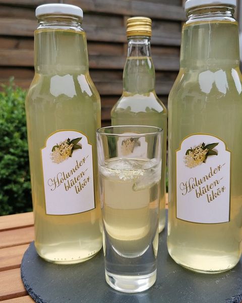 Holunderschnaps Rezepte | Chefkoch