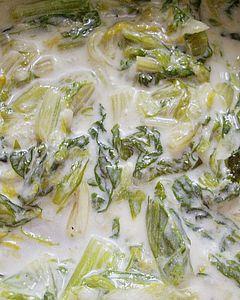 Endivien Rezepte | Chefkoch