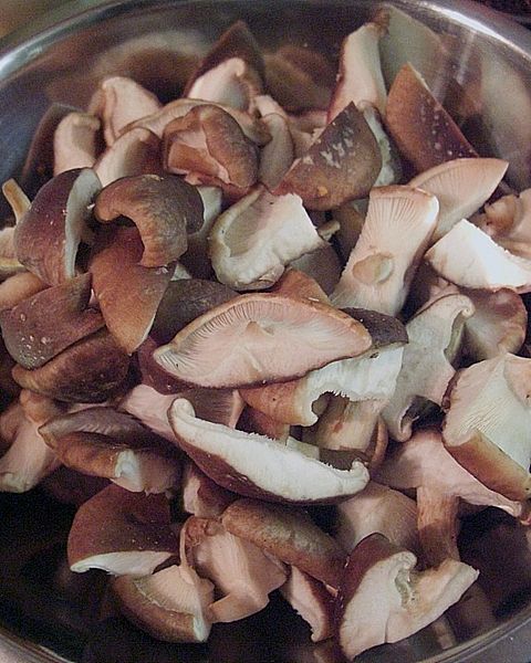 Mischpilze Rezepte | Chefkoch