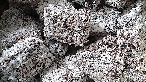 Raunigel von KarinRam