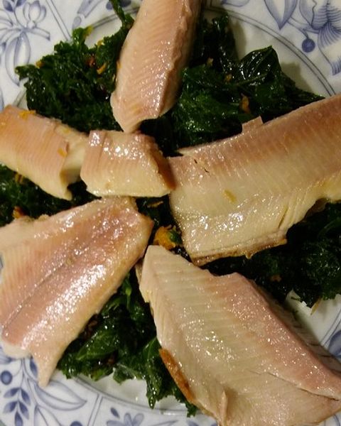 Aal Rezepte | Chefkoch