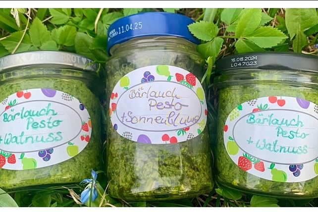 Brlauchpesto Ohne Kse