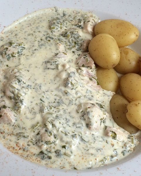 Welsfilet Rezepte | Chefkoch