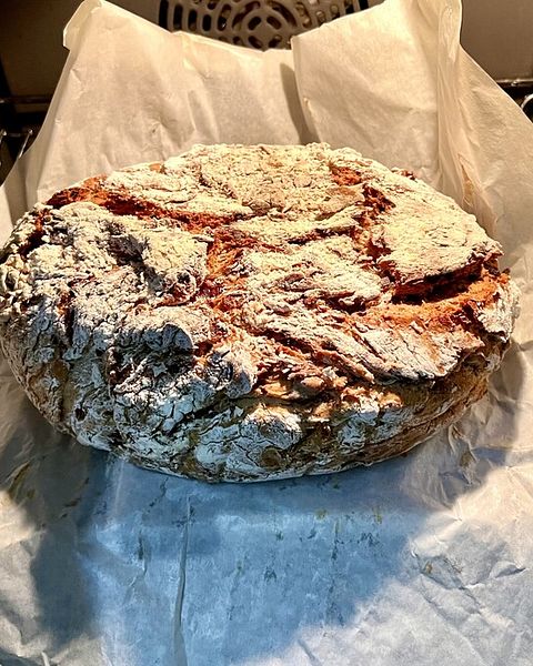 Speckbrot Rezepte | Chefkoch