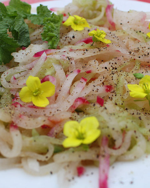 Radi Rezepte | Chefkoch