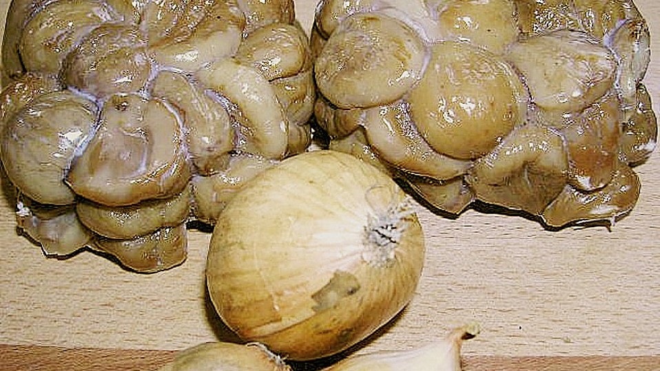 Maroni-Suppe à la Moni von matti