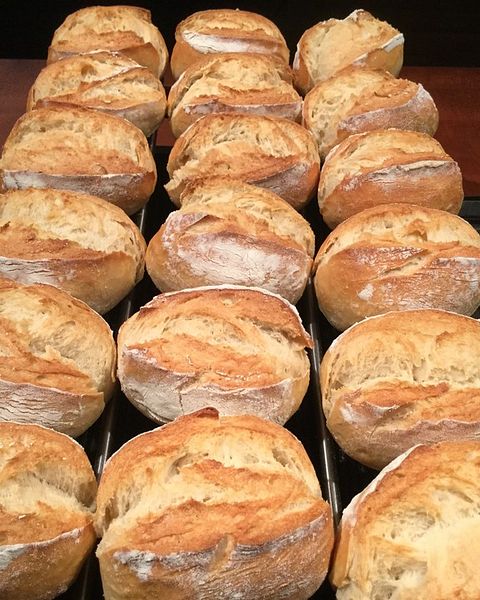 Gerstenbrot Rezepte | Chefkoch