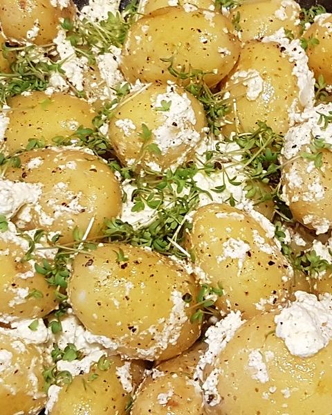 Drillinge Rezepte | Chefkoch