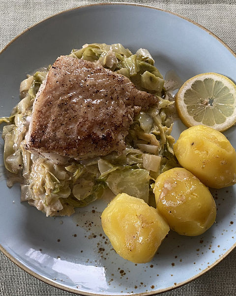 Spitzkraut Rezepte | Chefkoch