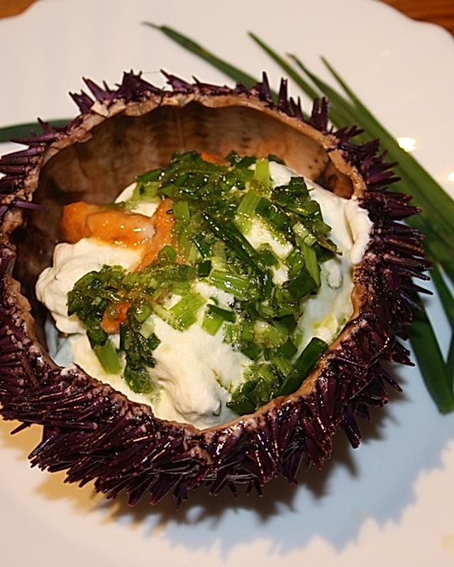 Seeigel Rezepte | Chefkoch