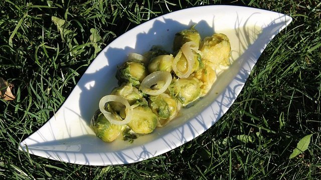 Rosenkohl in Frischkäse-Senf-Soße von Tatunca